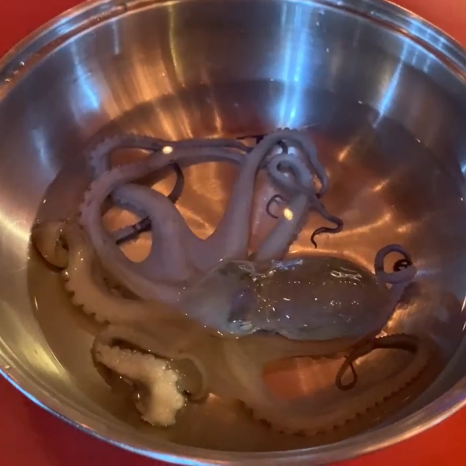 Eat Live Octopus in Bangkok! - Munch